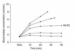 Factsheet lactaat – TopsportTopics.nl